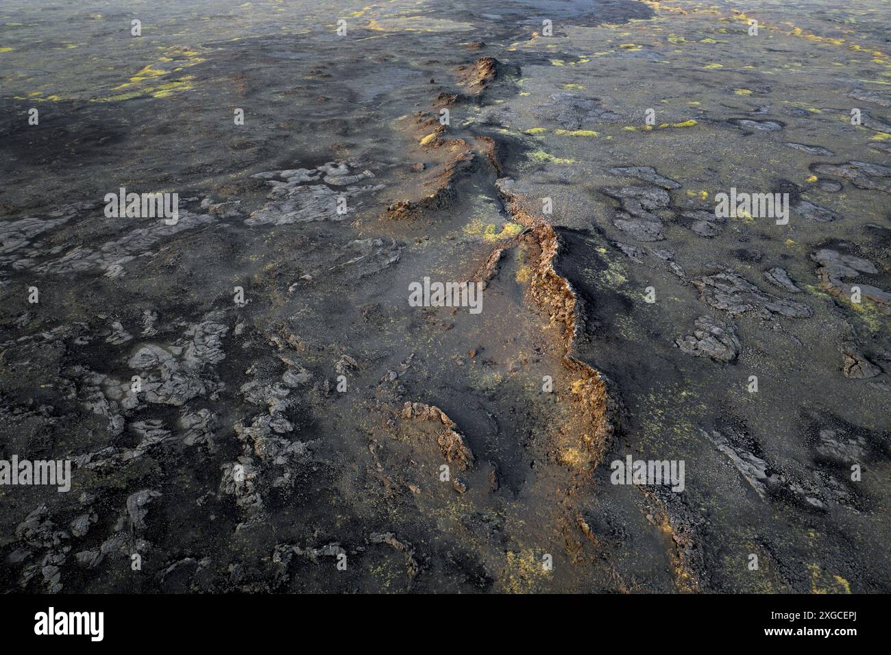 Stampar hi-res stock photography and images - Alamy