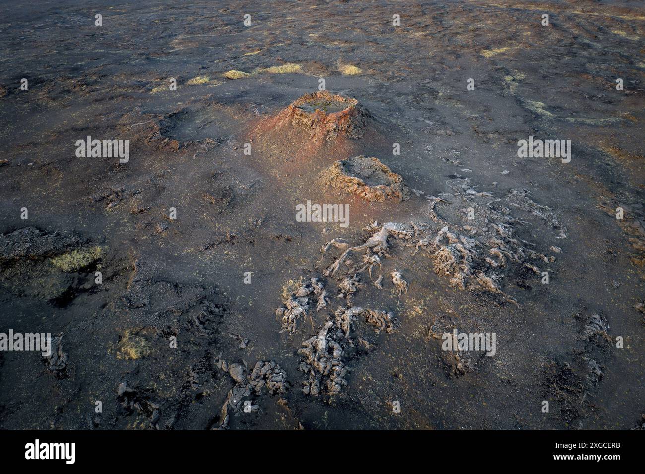 Stampar hi-res stock photography and images - Alamy