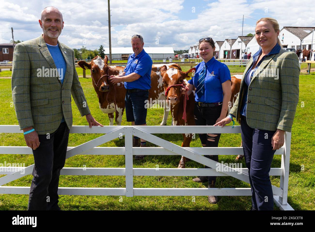 Harrogate, UK.8th July 2024. Ayrshire cattle with Models; Keith French ...
