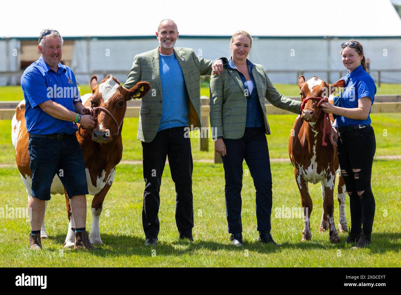 Harrogate, UK.8th July 2024. Ayrshire cattle with Models; Keith French ...