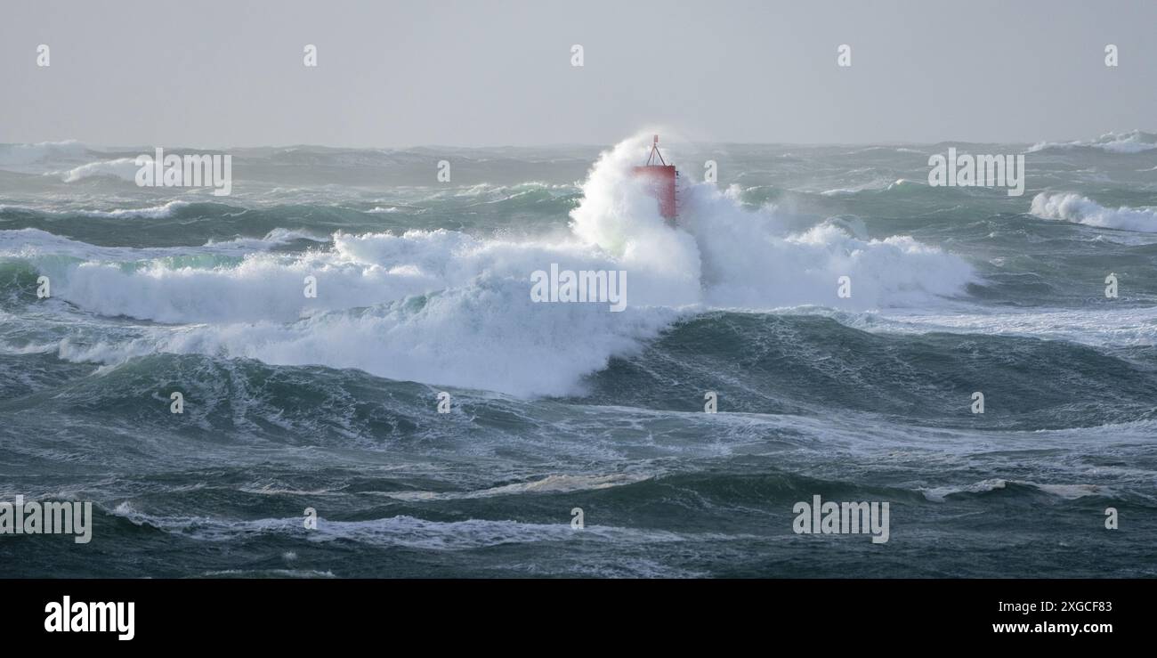 France, Finistere, Porspoder, Landunvez, Saint Laurent Peninsula ...