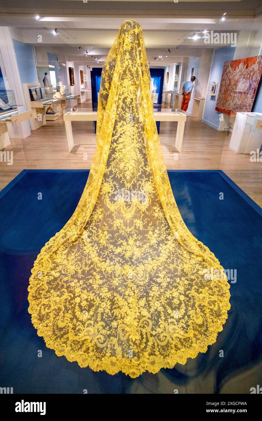 France, Orne, Alencon, Museum of Fine Arts and Lace, the point of ...