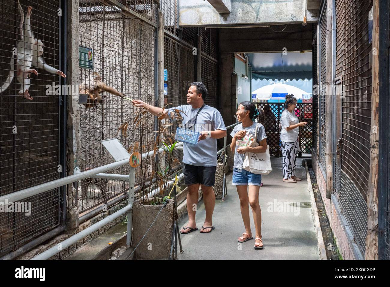 Asian visitors are seen walking through the alley of Pata Zoo and ...