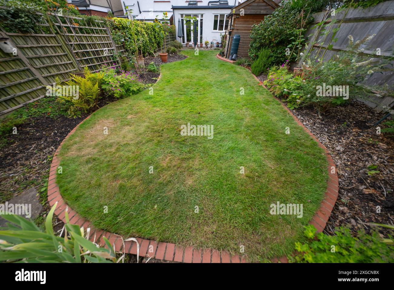A suburban London garden on a grey summer day, July 2024 Stock Photo ...