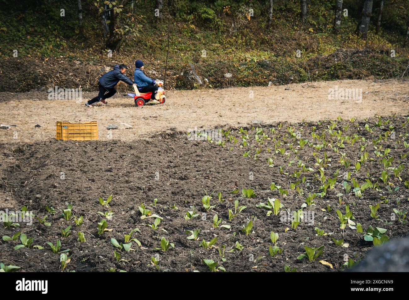 Lukla, Nepal - 14th november, 2023: two nepalese sherpa kids play ...