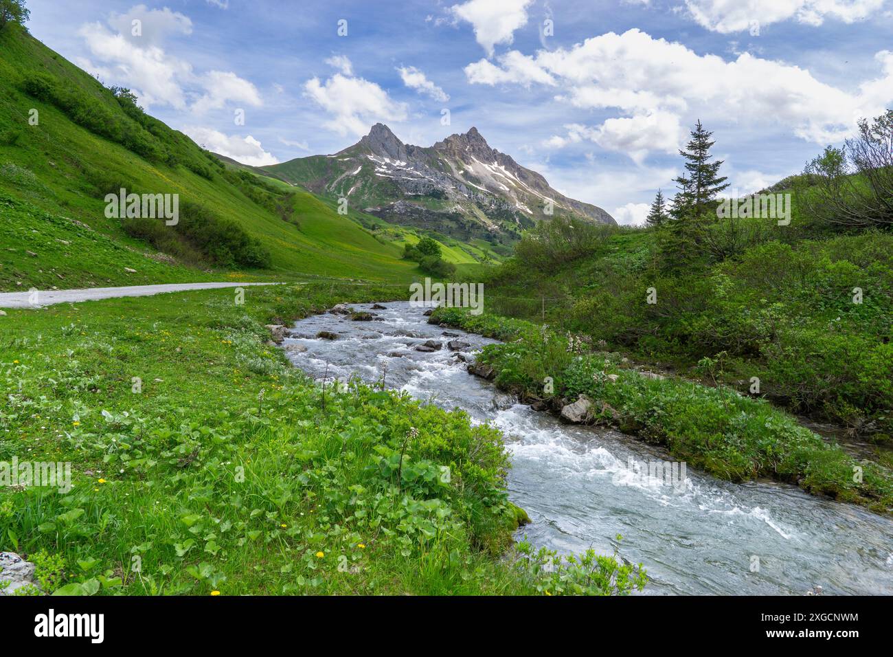 Water from snow melting in the Alps of Vorarlberg flows down the stream ...