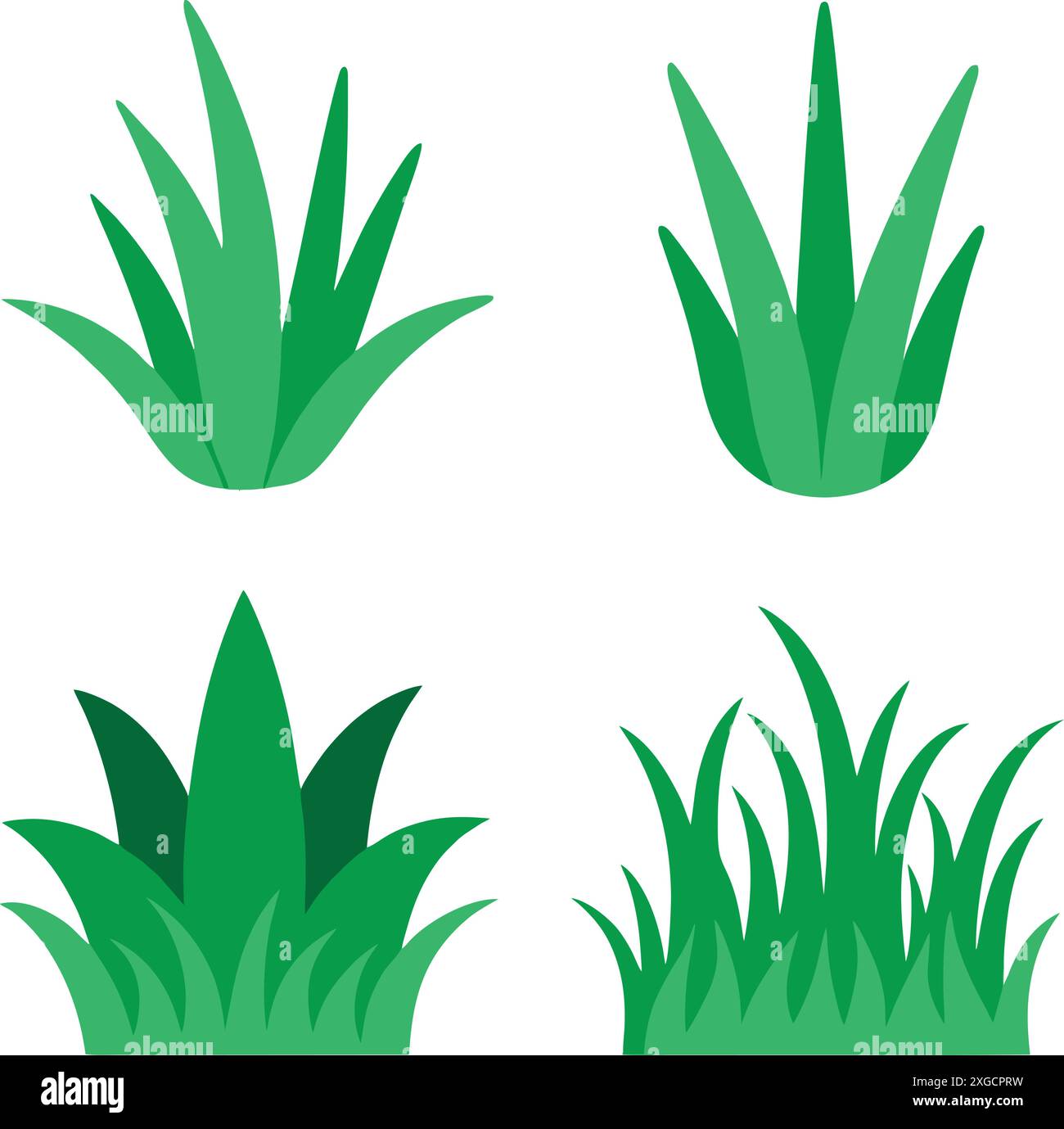 Grass Set Different types on white background Stock Vector Image & Art ... Grass Set Different types on white background Stock Vector Image & Art ...