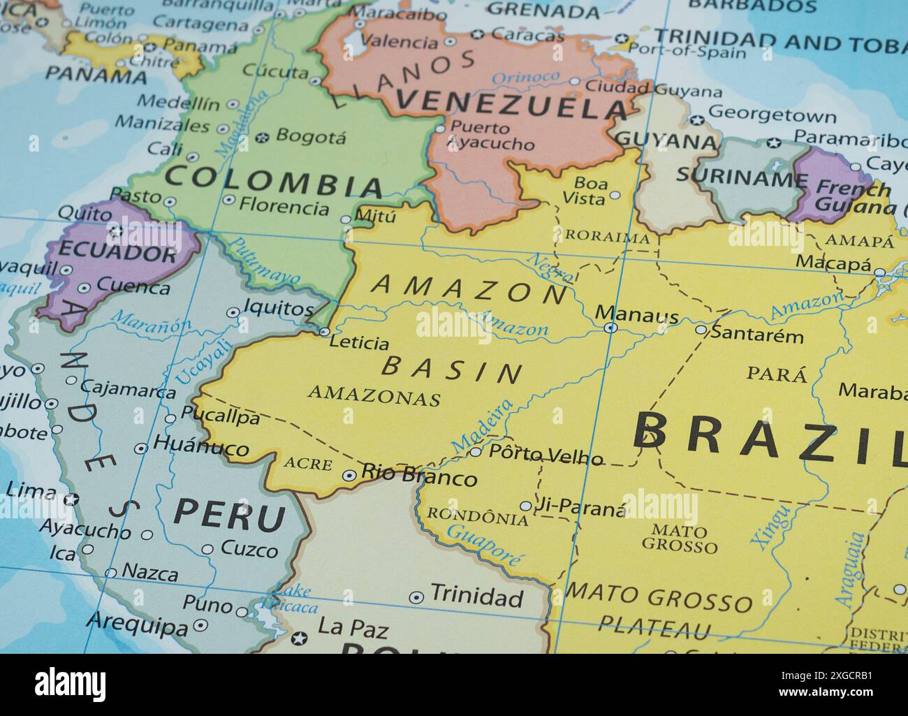 Close up to an amazonas jungle region in north of south america ...