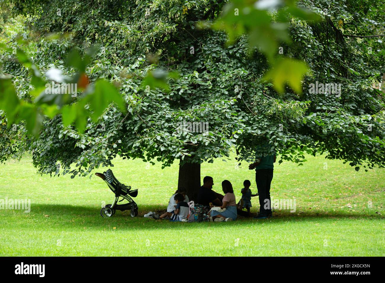 People sitting under a tree are silhouetted against the grass in St ...