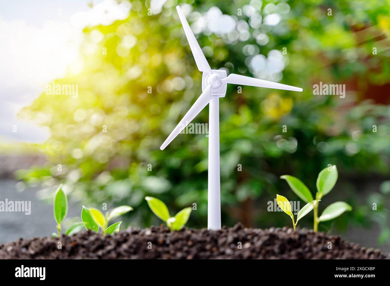 The Sapling are growing from the soil with wind turbine farm on blue ...
