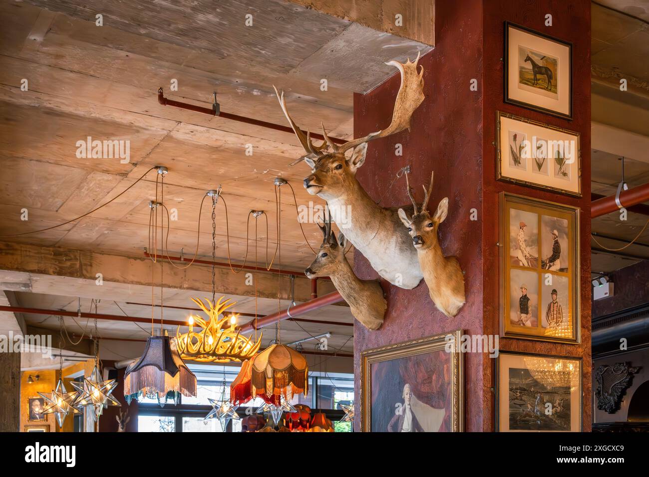 An eclectic mix of mounted Deer heads and paintings adorning the walls ...