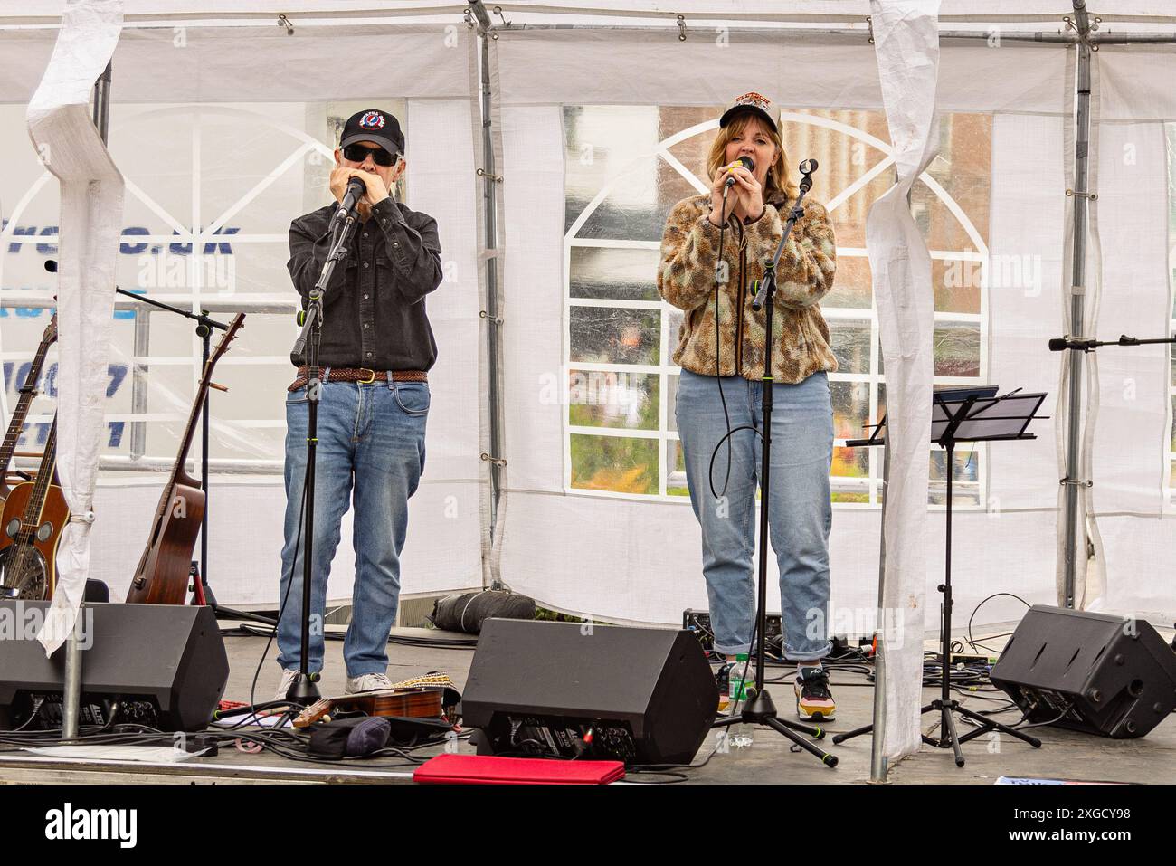 A female singer and male harmonica player on stage. Live music gig ...