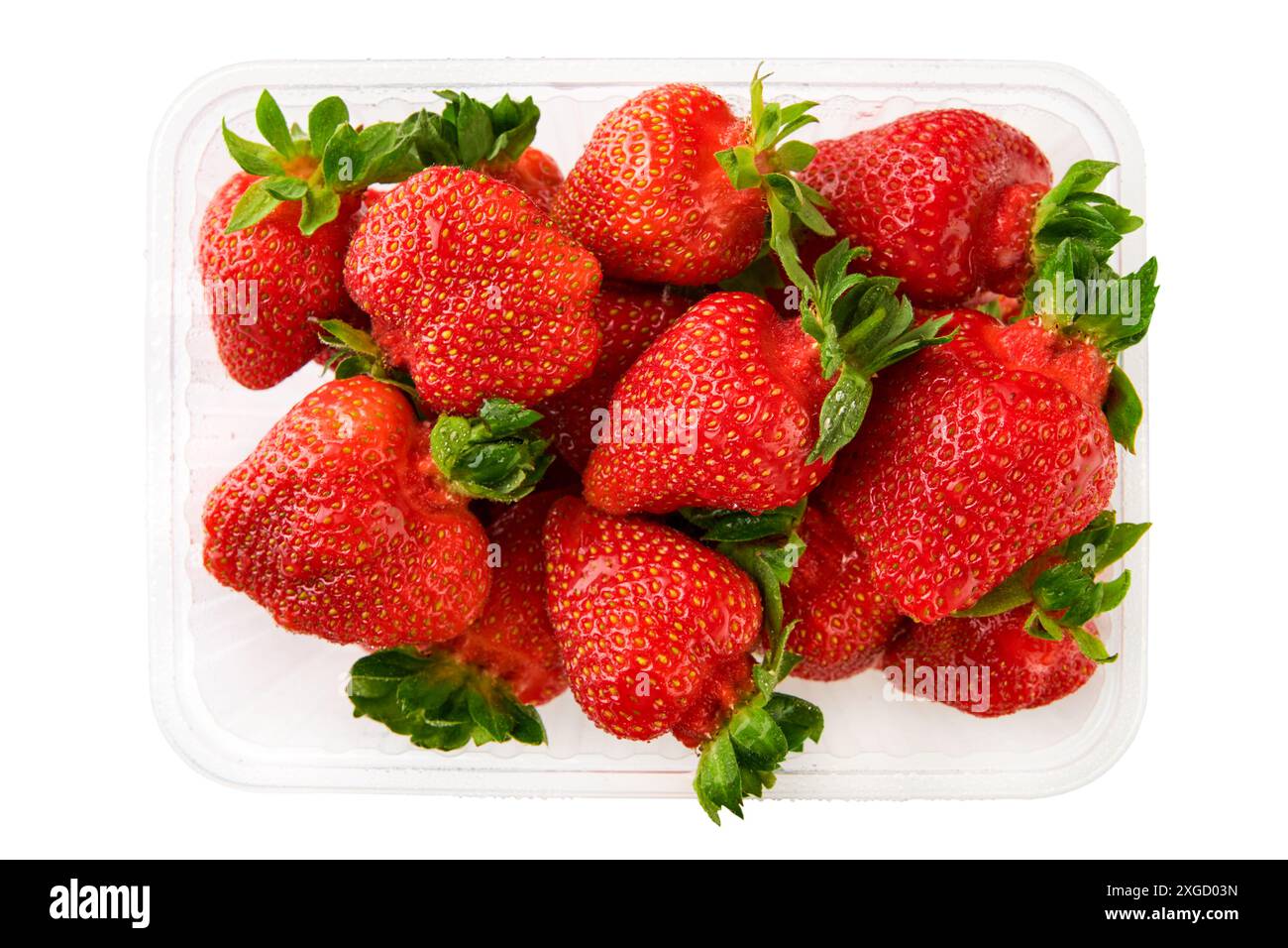 Red strawberries ugly with green stems and water drops in plastic ...