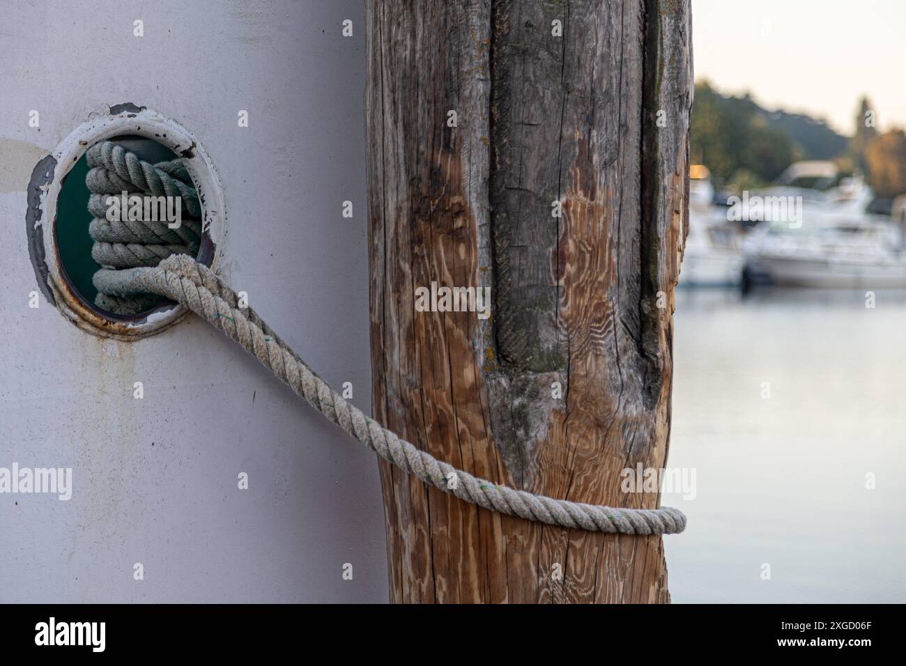A white boat is tied to a weathered wooden dock post (dolphin) with a ...