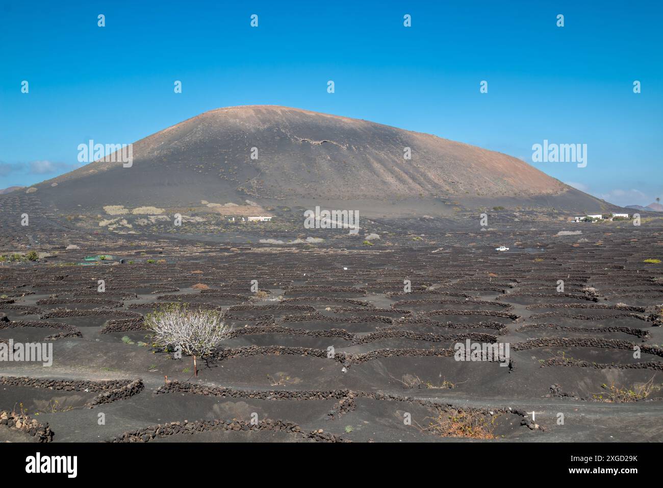 Vineyards geometric landscape in hi-res stock photography and images ...