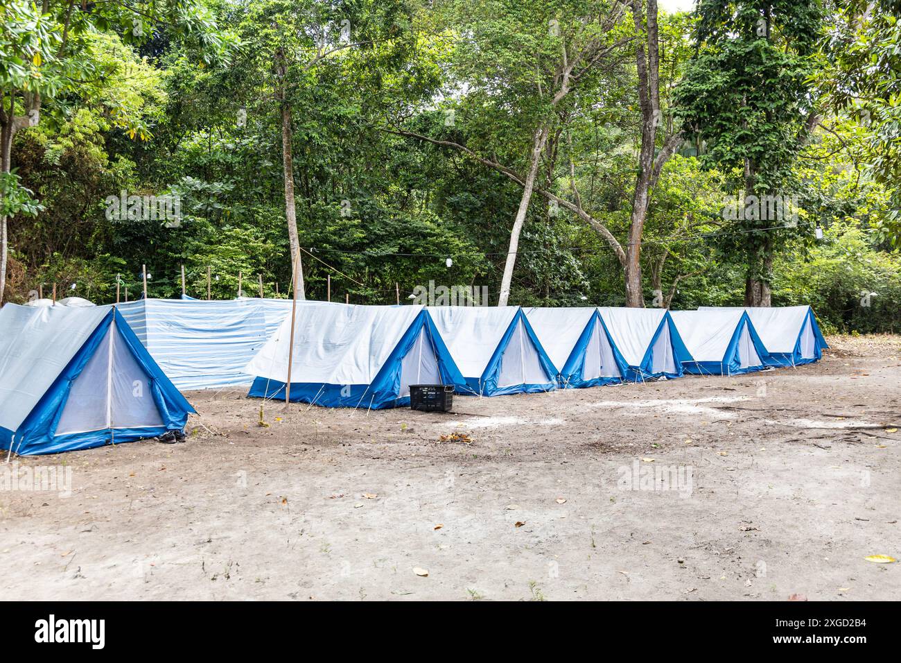 Multiple basic camping tents erected at campsite on beach next to ...