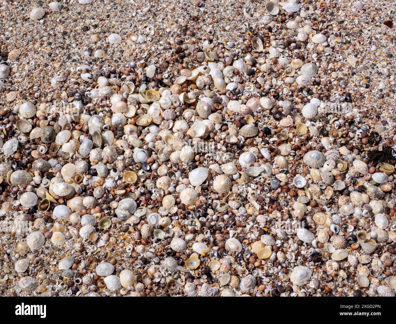 Shell sand beaches sanna near hi-res stock photography and images - Alamy