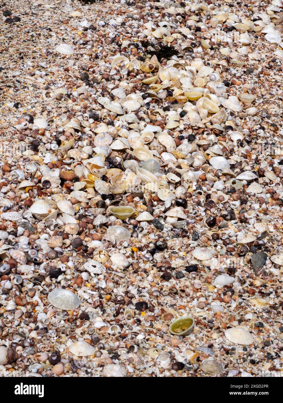 Shell sand beaches sanna near hi-res stock photography and images - Alamy