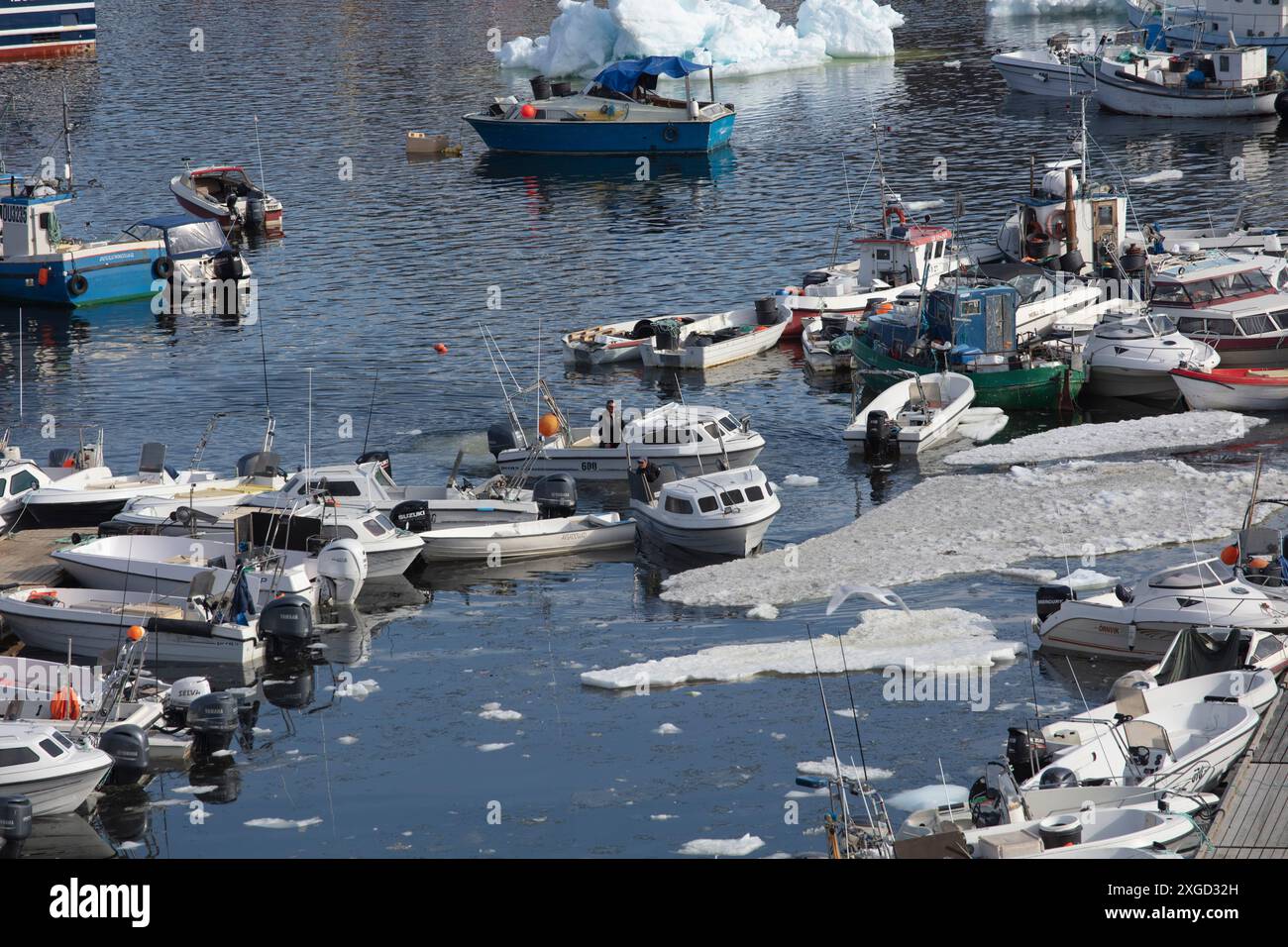 Ilulissat Harbour on the west coast of Greenland, 250 kms north of the ...