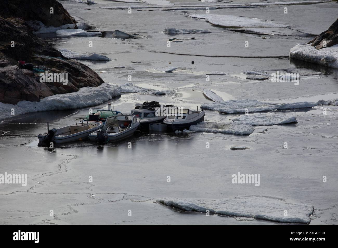 Ilulissat Harbour on the west coast of Greenland, 250 kms north of the ...