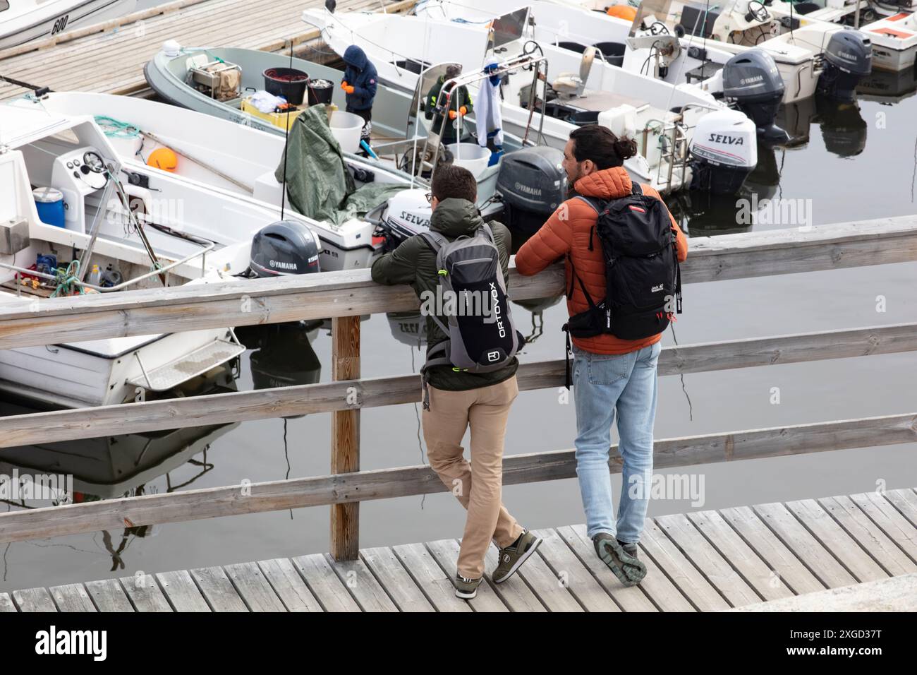 Ilulissat Harbour on the west coast of Greenland, 250 kms north of the ...