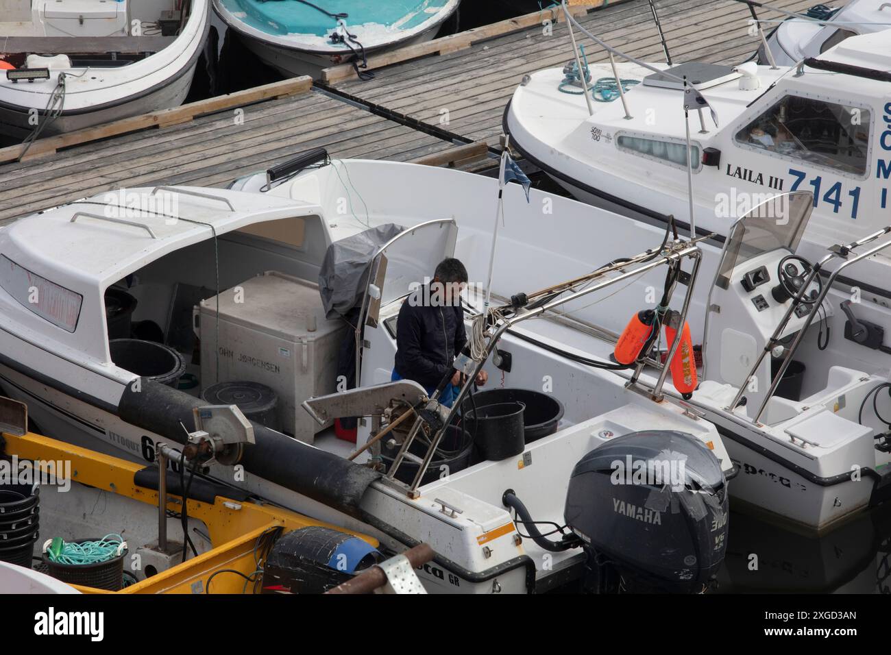 Ilulissat Harbour on the west coast of Greenland, 250 kms north of the ...