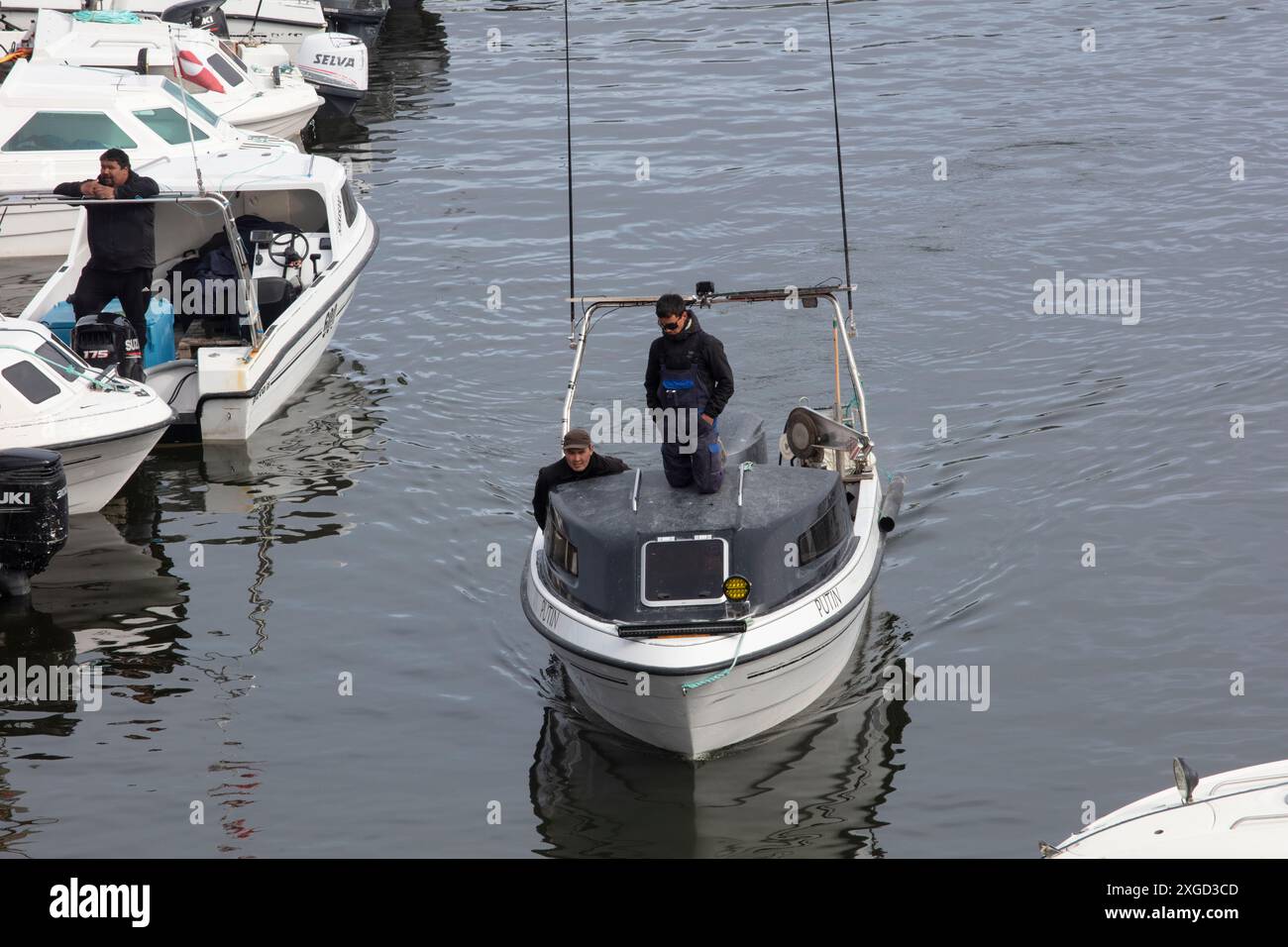 Ilulissat Harbour on the west coast of Greenland, 250 kms north of the ...