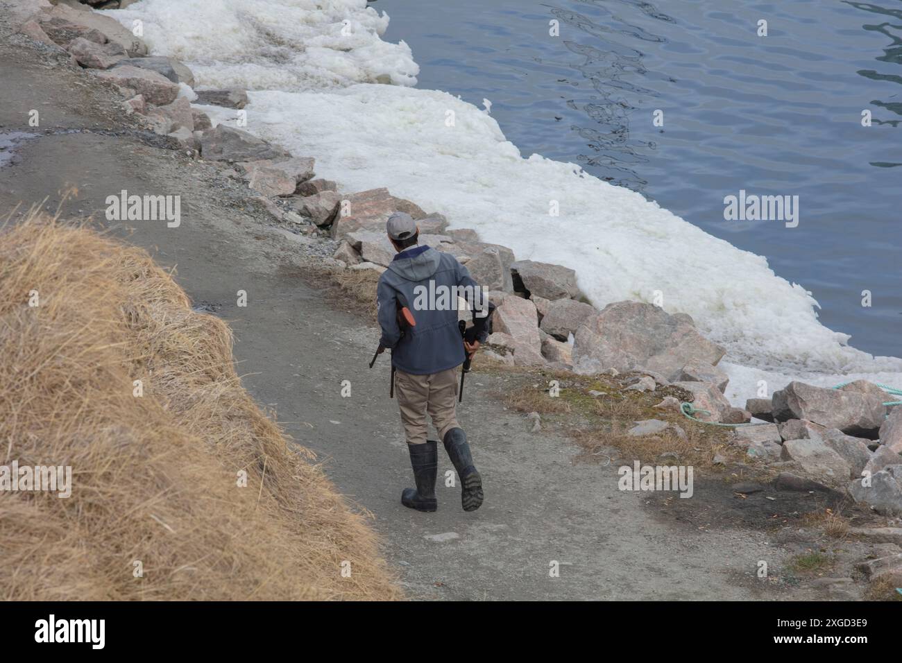 Ilulissat Harbour on the west coast of Greenland, 250 kms north of the ...