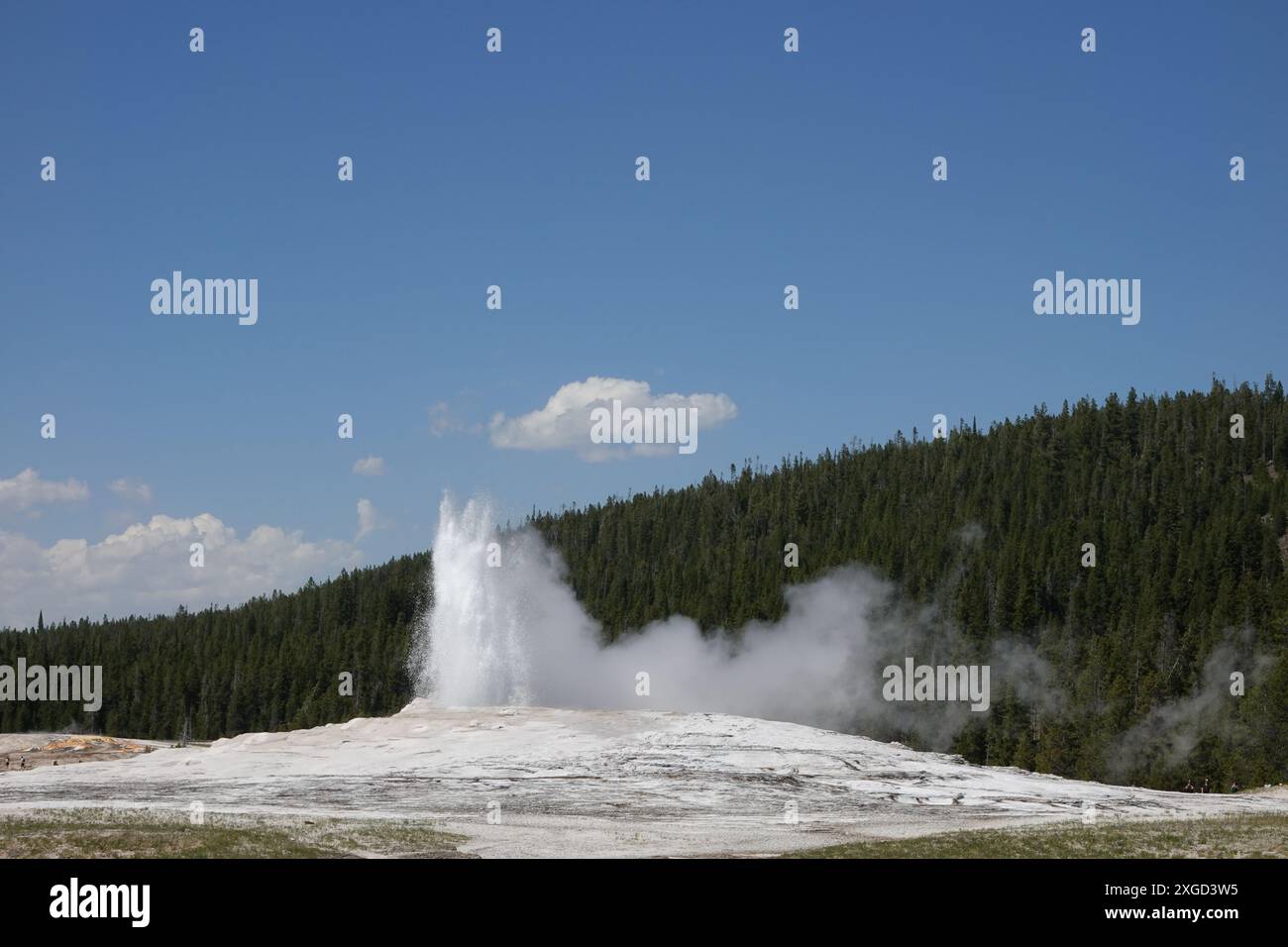 Eruption Starting at Old Faithful Geyser Stock Photo - Alamy