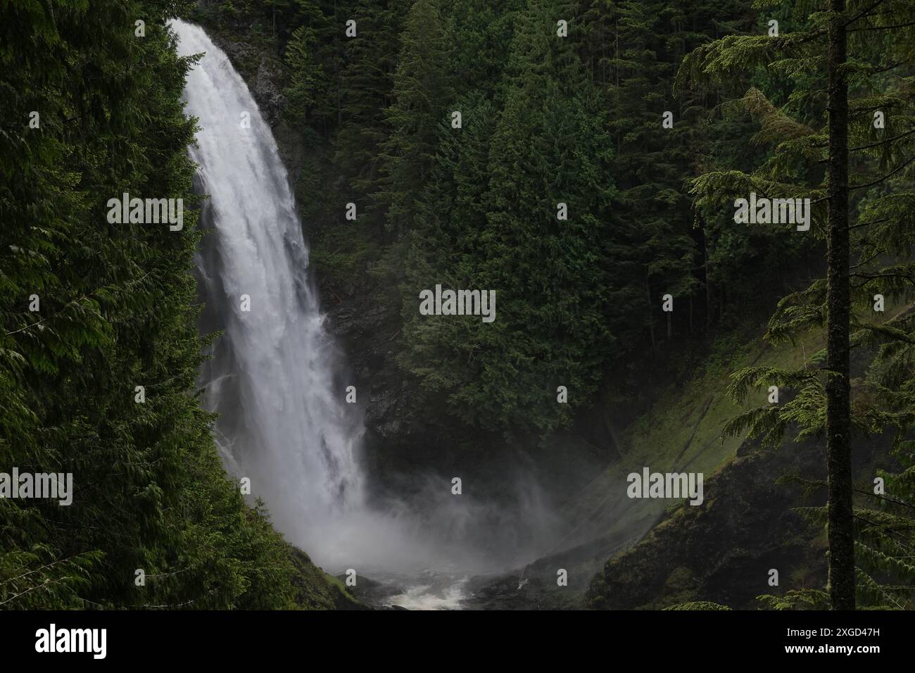 Middle Falls, Wallace State Park, WA Stock Photo - Alamy