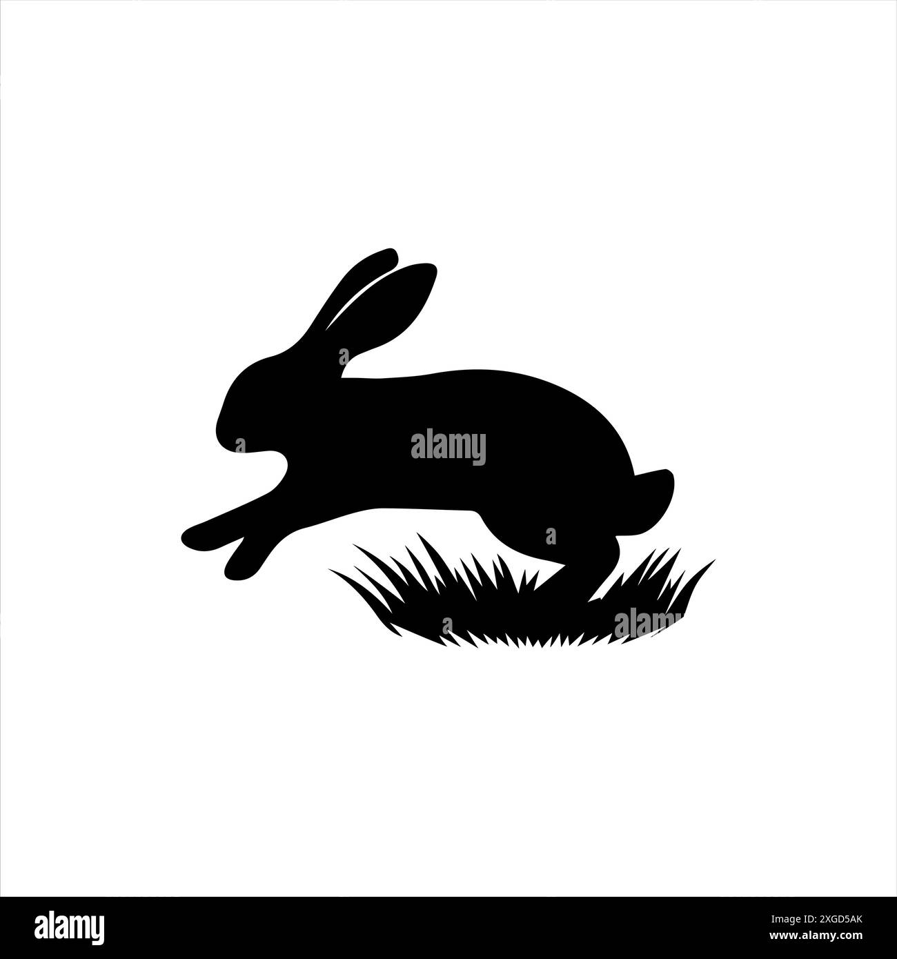 Leaping rabbit hi-res stock photography and images - Alamy