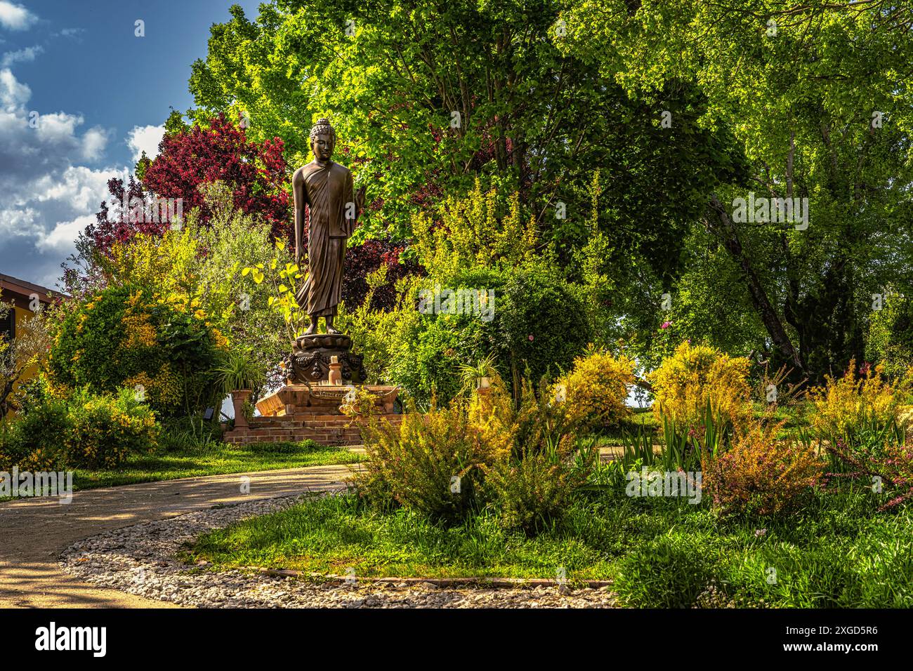Buddha statues in various spiritual poses scattered throughout the ...