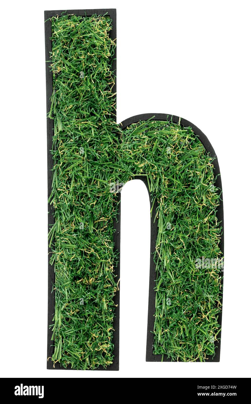 Grass letter H, alphabet 3D design isolated, transparent background ...