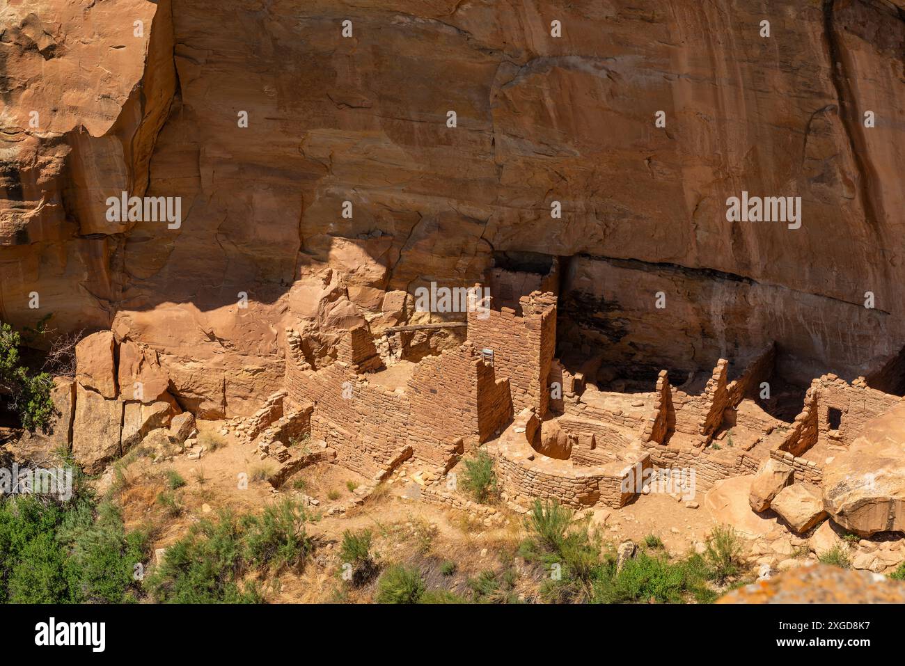 Long House cliff dwelling archaeological site of the Pueblo and Anasazi ...