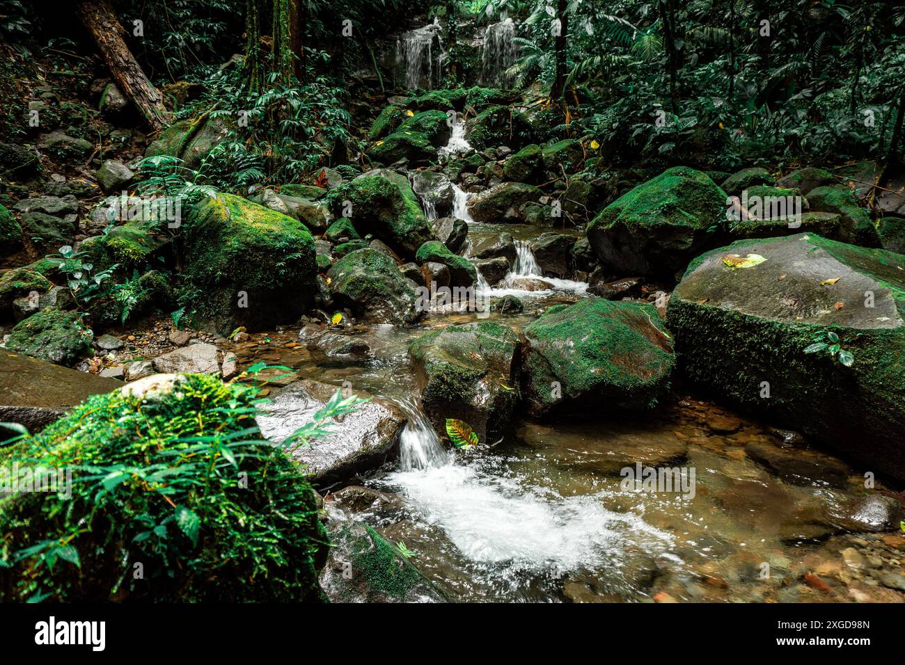 A beautiful view on a scenic river and waterfall in a utouched tropical ...