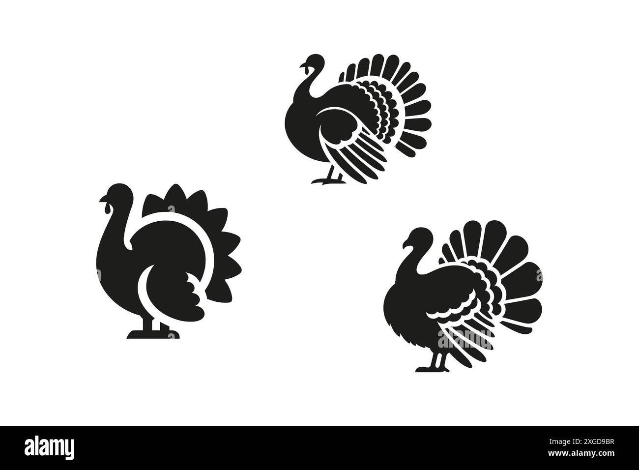 Turkey Feathers Vector