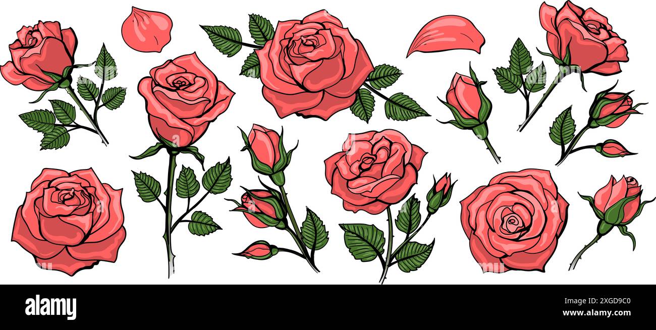 Bouquet colorful roses on Stock Vector Images - Alamy