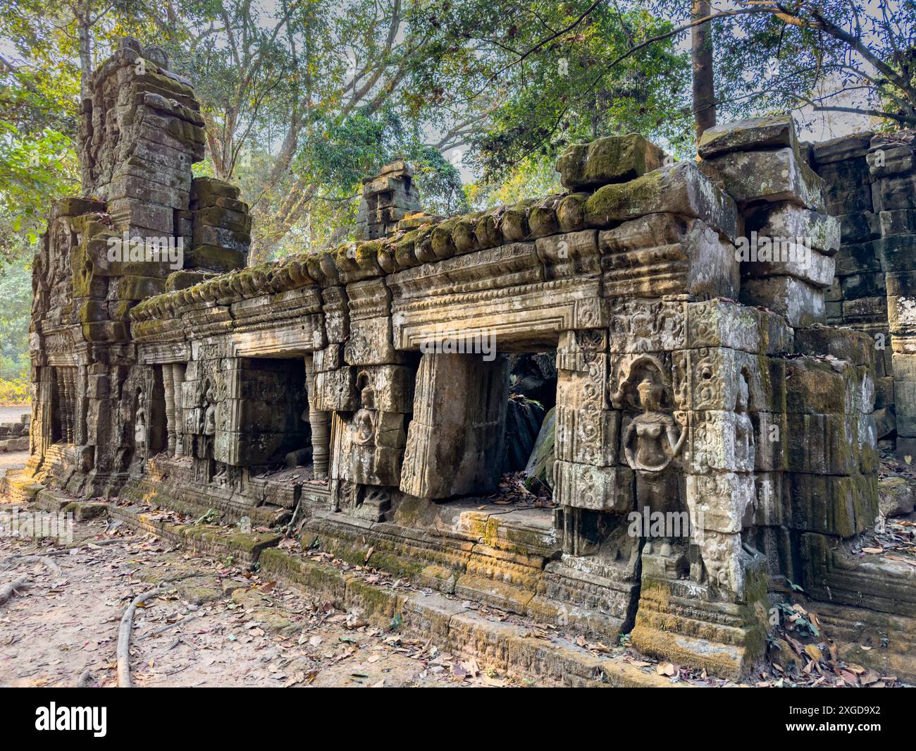Ta Prohm Temple, a Mahayana Buddhist monastery built in the late 12th ...