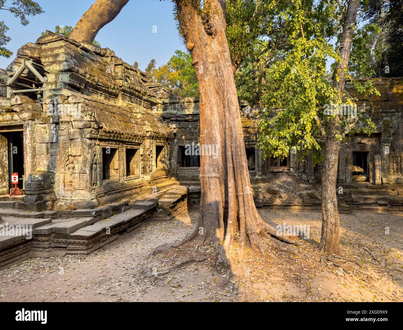 Ta Prohm Temple, a Mahayana Buddhist monastery built in the late 12th ...