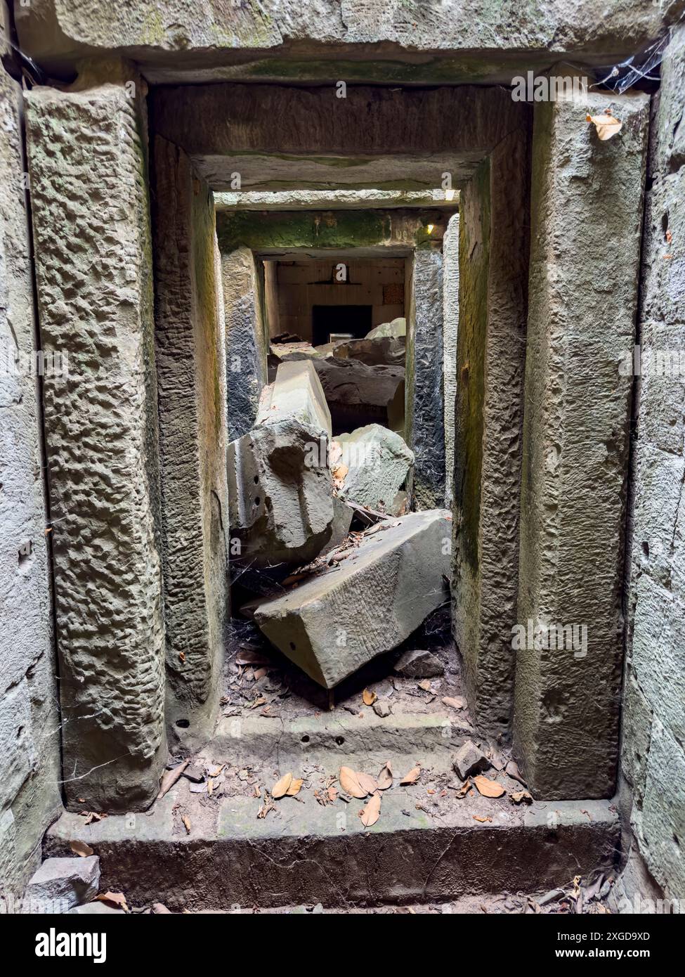 Ta Prohm Temple, a Mahayana Buddhist monastery built in the late 12th ...