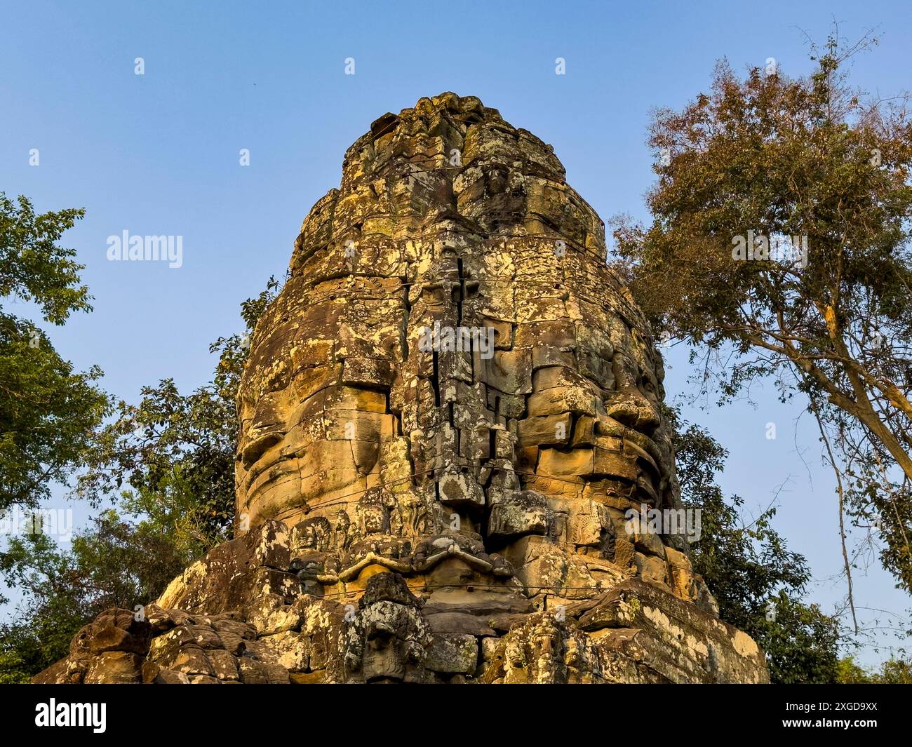 Ta Prohm Temple, a Mahayana Buddhist monastery built in the late 12th ...