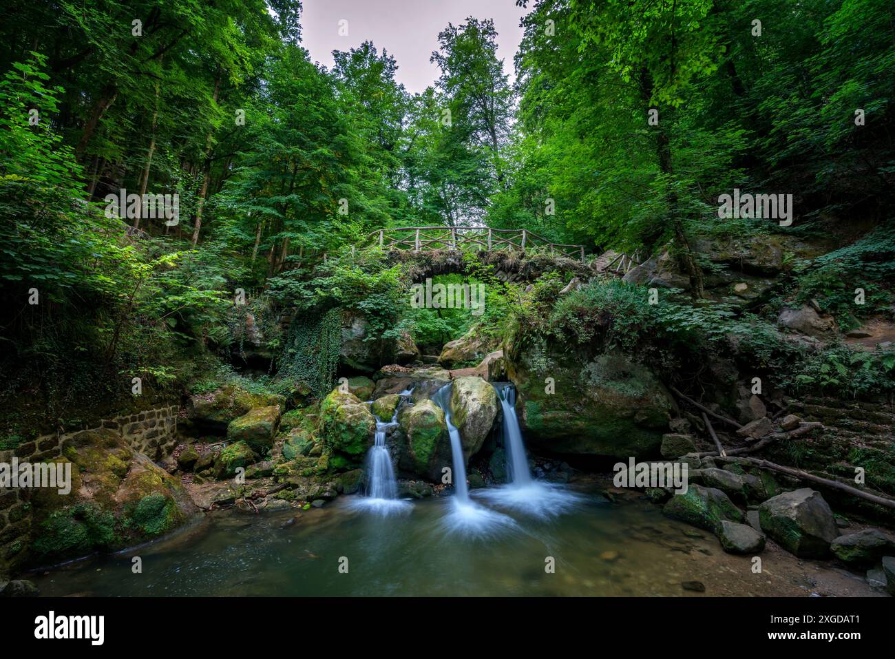 Mullerthal trail hi-res stock photography and images - Alamy