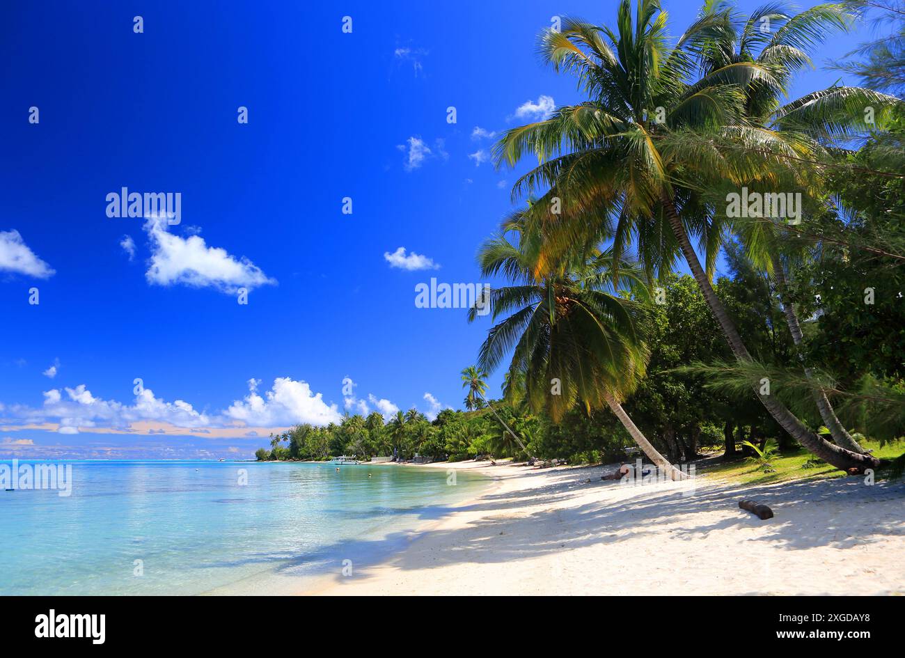 Le Bora Bora by Pearl Resort, Moto Tevairoa island, Bora Bora, French ...