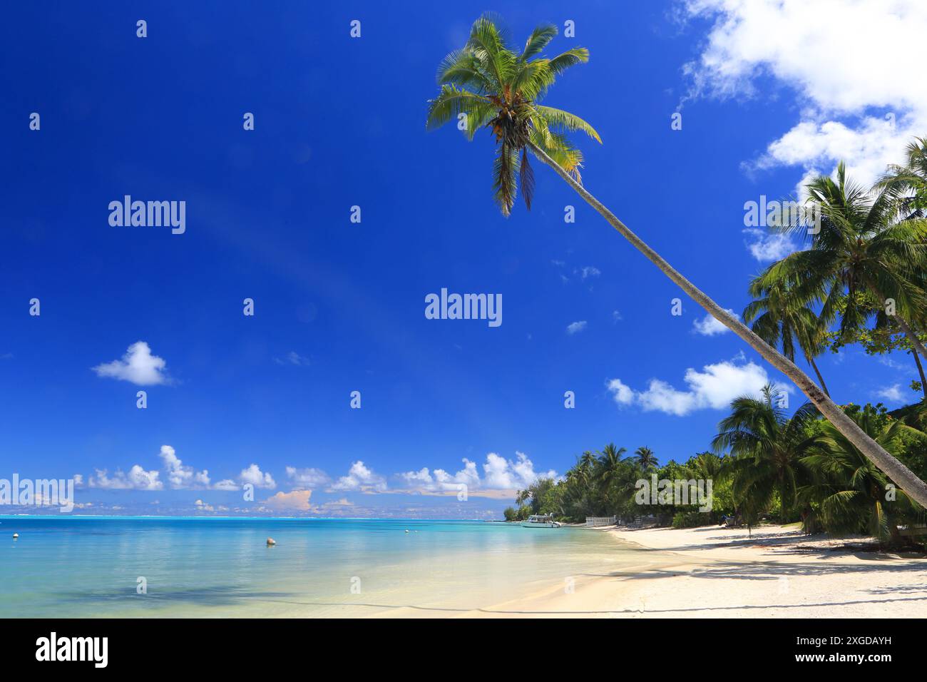 Le Bora Bora by Pearl Resort, Bora Bora, French Polynesia, South ...