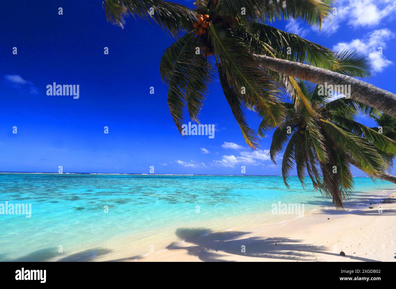 Beach and palm trees, Rarotonga, Cook Islands, South Pacific, Pacific ...