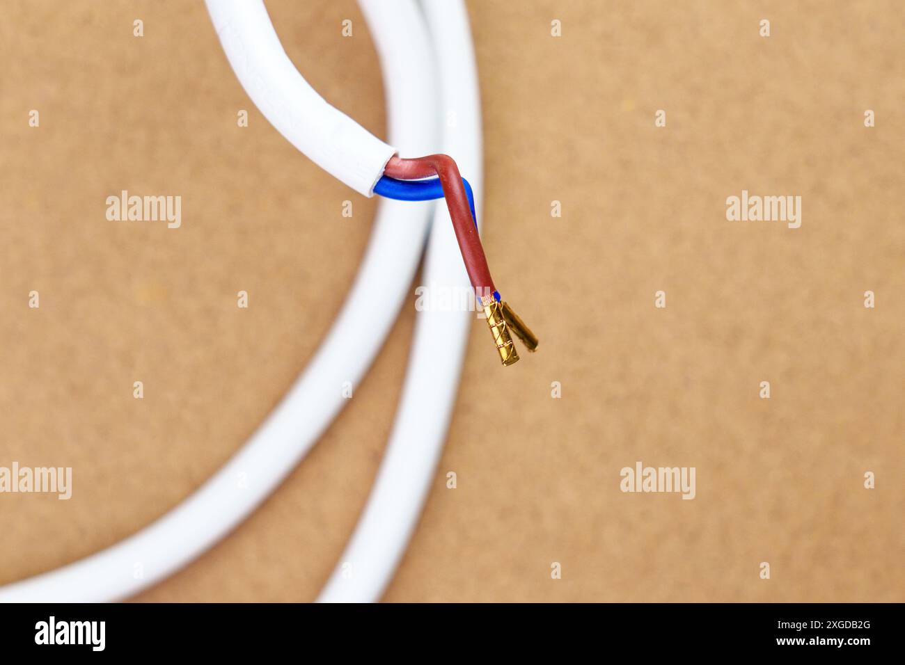 Two electrical wires with gold-plated terminals. The cables are red and ...