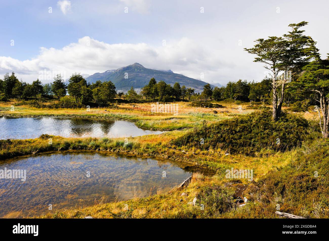 Ainsworth Bay, Alberto de Agostini National Park, Tierra del Fuego ...