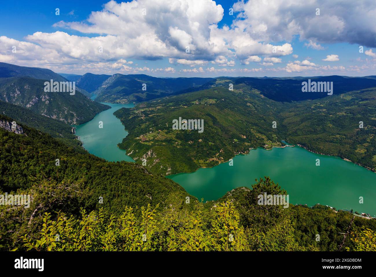 Banjska Stena viewpoint, Tara National Park, Serbia, Europe Stock Photo ...
