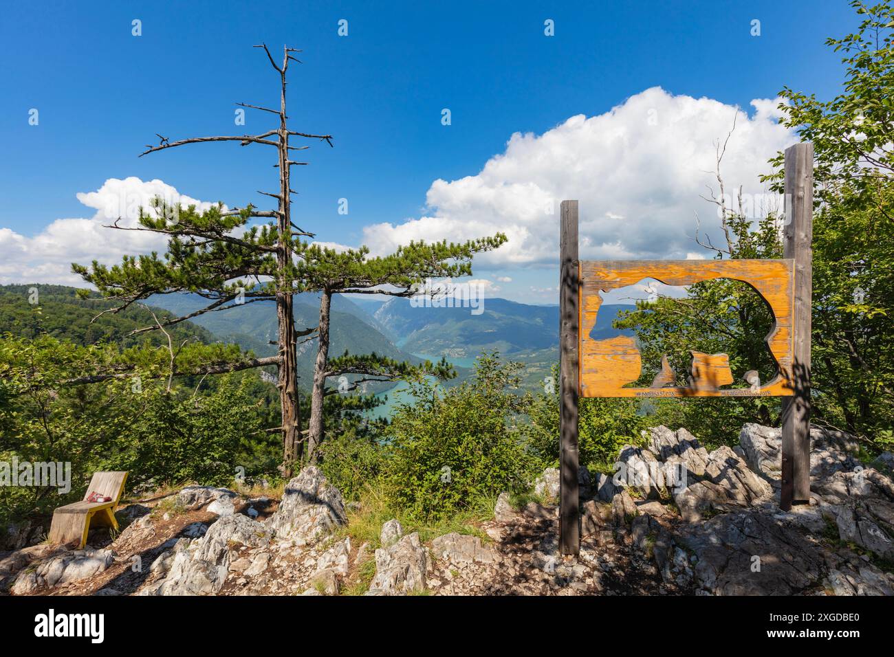 Banjska Stena viewpoint, Tara National Park, Serbia, Europe Stock Photo ...