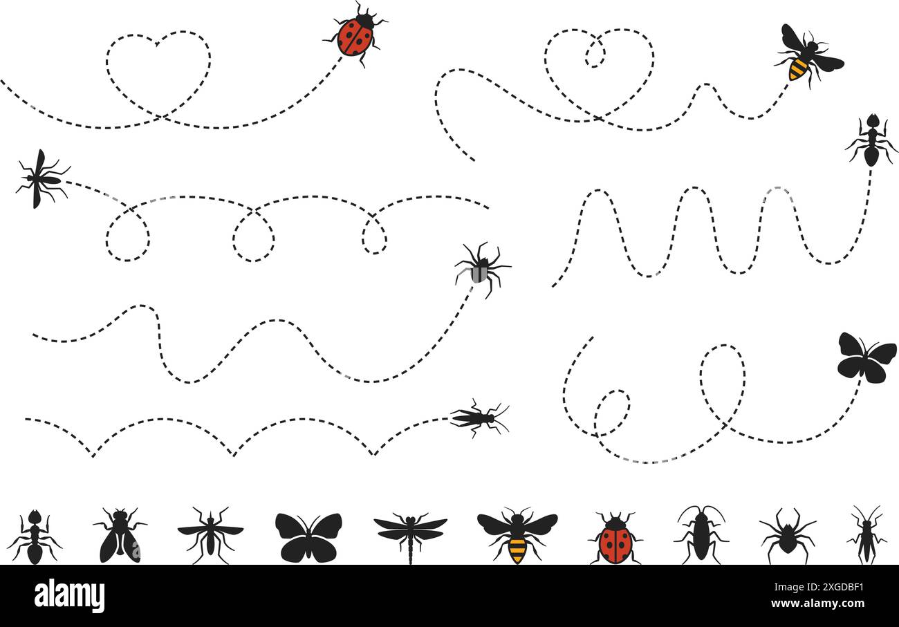 Dashed line insect route. Bee, mosquito and butterfly flight paths ...